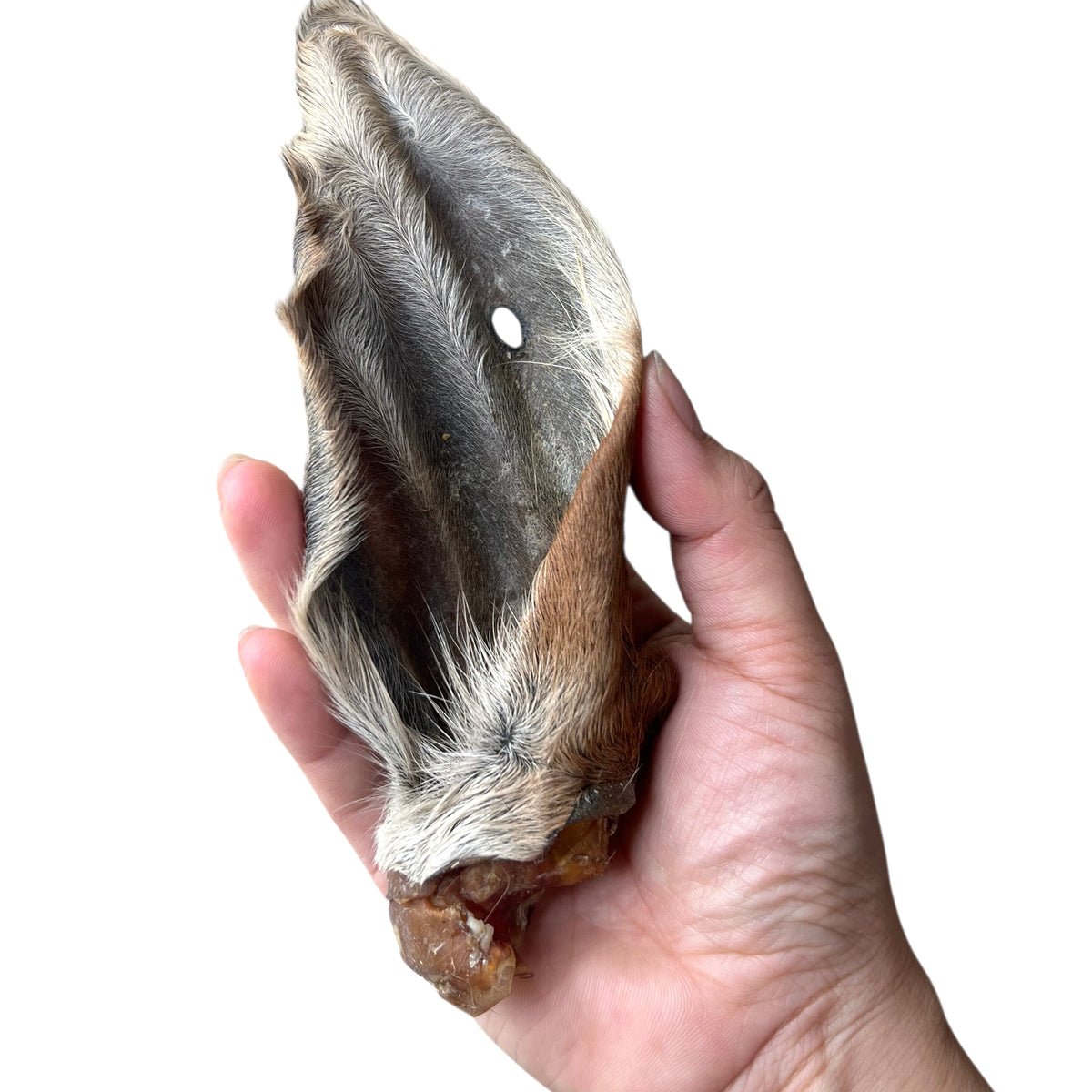 Air Dried Calf Ears – Wholesome Beast