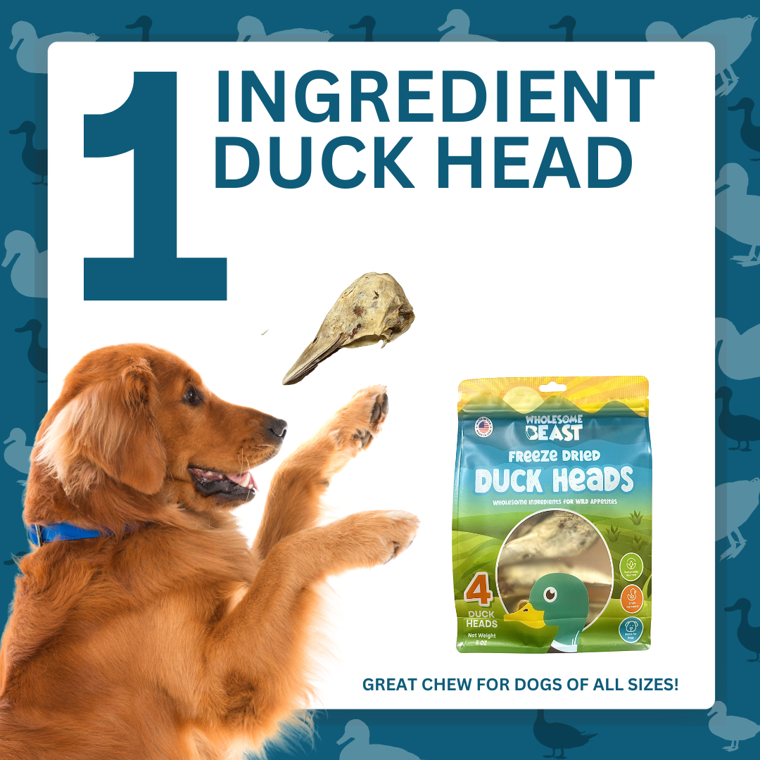 Freeze Dried Duck Heads – Wholesome Beast