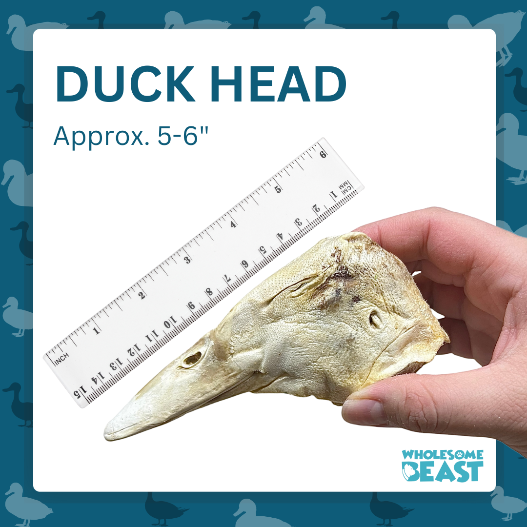 Freeze Dried Duck Heads – Wholesome Beast