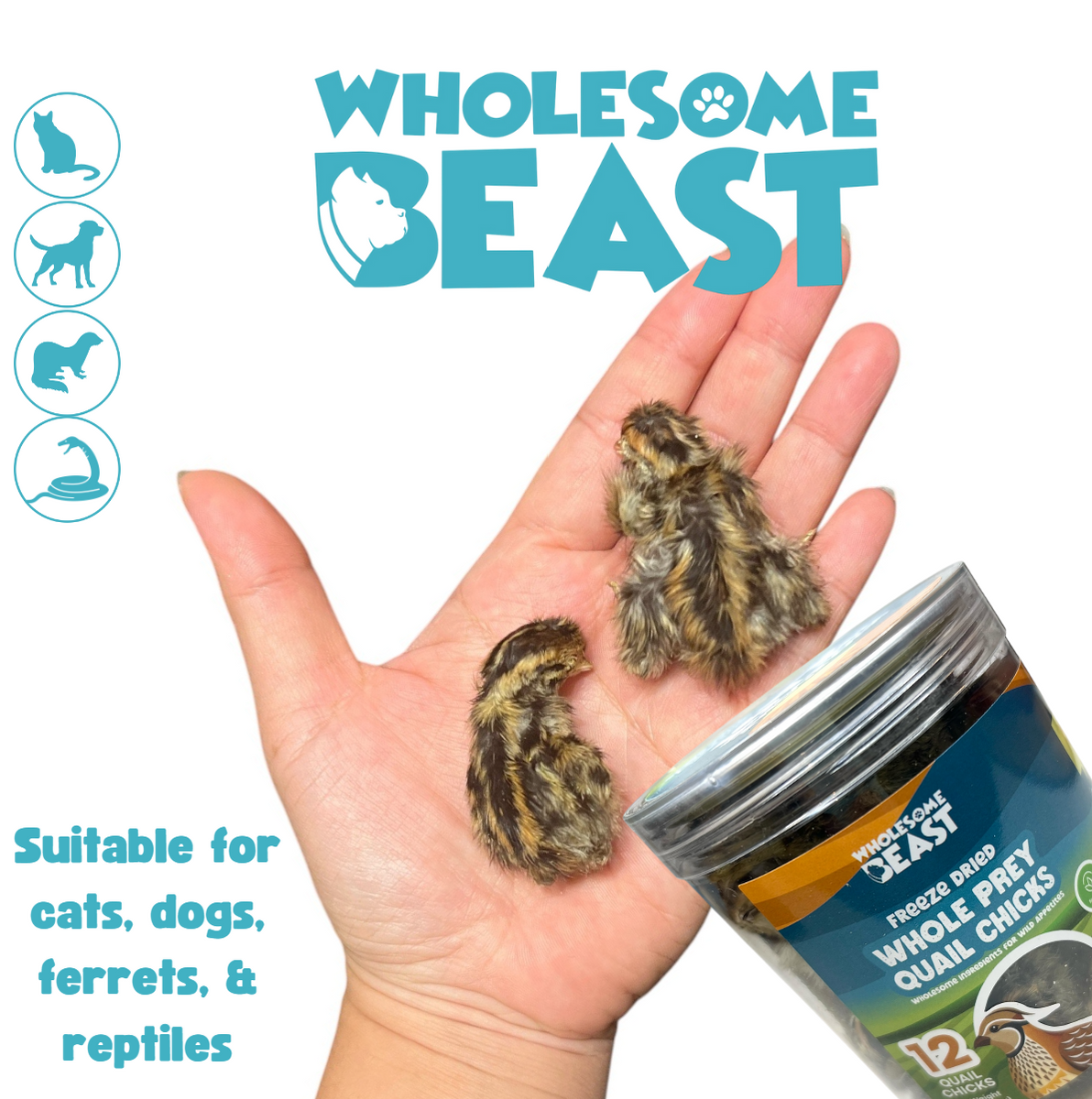 Freeze Dried Whole Prey Quail Chicks – Wholesome Beast